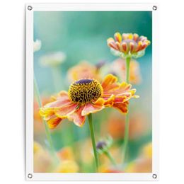 Poster Reinders "Blume", orange (farbe bild(er): orange), B:60cm H:80cm T:0,1cm, Leinwand, Bilder, Poster, Outdoor f&uuml;r Garten oder Balkon