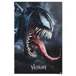 Poster Reinders "Marvel - Venom legacy", schwarz (farbe bild(er): schwarz), B:61cm H:91,5cm T:0,1cm, Bilder, Poster, Teenager Zimmer - Schwarz - 150 gr. Papier - 61x91,5 cm