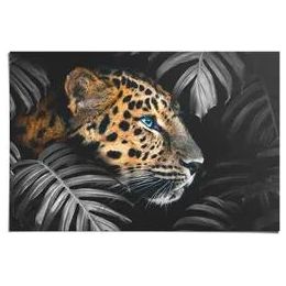 Poster Reinders "Leopard Jungle - Eyecatcher - Tiermotiv - Modern", bunt (farbe bild(er): mehrfarbig), B:91,5cm H:61cm, Papier, Bilder, Poster