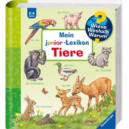 Lexikon Ravensburger "Wieso? Weshalb? Warum?, Mein junior-Lexikon Tiere", bunt, B:18cm H:20cm, B&uuml;cher, Lexikon, Made in Europe
