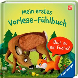 Kinderbuch Ravensburger "Pappbilderbuch, Mein erstes Vorlese-F&uuml;hlbuch Bist du ein Fuchs?", bunt, B:16,7cm H:16,7cm, B&uuml;cher, Kinderbuch