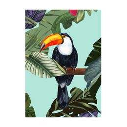 Bild Komar "Toco Toucan", bunt (farbe bild(er): bunt), B:30cm H:40cm, Holz, Papier, Bilder, Bild, Wandbild zur Dekoration - ohne Rahmen
