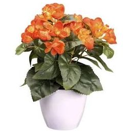 Kunstblume Creativ green "Begonie", orange, H:28cm, Kunststoff, Kunstpflanzen, mit farbenfrohen Bl&uuml;ten