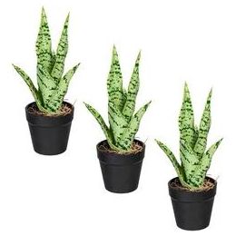 Kunstpflanze Creativ green "Sanseveria", gr&uuml;n (gr&uuml;n, grau), H:27cm &Oslash;:8,5cm, Kunststoff, Kunstpflanzen, Kunstpflanze, im 3er Set