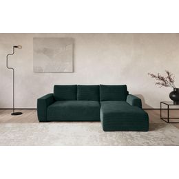 Ecksofa COTTA "Giro L-Form, Recamiere, Breite 252 cm", hunter, B:252cm H:86cm T:170cm, Sofas, Ecksofa, wahlweise mit Bettkasten und Trendbezug CORD