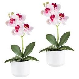 Kunstorchidee Creativ green "Orchidee Phalaenopsis", pink, H:27cm, Kunststoff, Kunstpflanzen, mit real-touch-Bl&uuml;ten