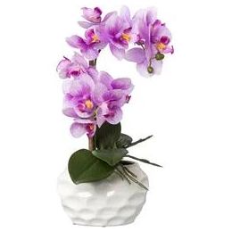 Kunstorchidee Creativ green "Deko-Orchidee Phalaenopsis im Keramiktopf", lila, B:17cm H:33cm T:13cm, Obermaterial: 95% Polyethylen, 5% Polyester, Kunstpflanzen