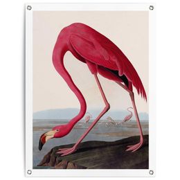 Poster Reinders "Audubon Flamingo", rosa (farbe bild(er): rosa), B:60cm H:80cm T:0,1cm, Bilder, Poster, Garten - Rosa - Leinwand - Tiere - 60x80 cm