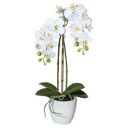 Kunstpflanze Creativ green "Orchidee Phalaenopsis", wei&szlig;, H:43cm, Kunststoff, Kunstpflanzen, Kunstpflanze, im Keramiktopf