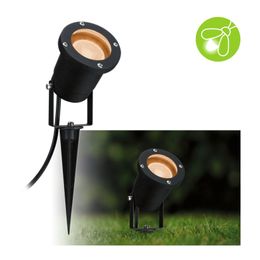 LED Gartenstrahler Paulmann "IP65 rund 92mm 2200K 4,3W 320lm 230V 38-38 Schwarz Metall", schwarz, H:32cm &Oslash;:9,2cm, Leuchten, LED Gartenstrahler, Goldlicht insektenfreundlich