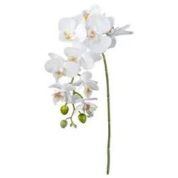 Kunstorchidee Creativ green "Orchidee Phalaenopsis", gelb, H:77cm, Kunstpflanzen, mit real-touch-Bl&uuml;ten