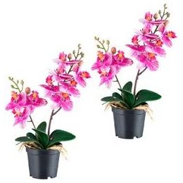Kunstorchidee Creativ green "Orchidee Phalaenopsis", lila, H:28cm, Kunststoff, Kunstpflanzen, mit real-touch-Bl&uuml;ten