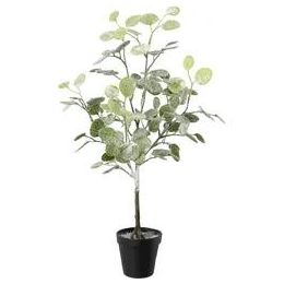 K&uuml;nstlicher Weihnachtsbaum Creativ green "Weihnachtsdeko", gr&uuml;n, H:58cm, Kunststoff, Weihnachtsb&auml;ume, Kunstweihnachtsb&auml;ume, mit Frost-Optik