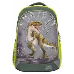 Rucksack Depesche "Schulrucksack Dino World 44 x 33 cm grau-gr&uuml;n", Kinder, Gr. B/H/T: 33cm x 19,5cm x 44cm, bunt (grau, gr&uuml;n), Polyester, Rucks&auml;cke Rucksack