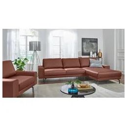Ecksofa "CR.450, Designecksofa, L-Form", braun (signalbraun 534, 44), B:274cm H:85cm T:178cm, Luxus-Microfaser (100% Polyester), CREATION BY ROLF BENZ, Sofas, Ecksofa, Armlehne breit und niedrig, Alugussf&uuml;&szlig;e in umbragrau, Breite 274 cm