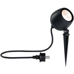 LED Gartenleuchte Paulmann "Kikolo", grau (anthrazit), H:26,1cm T:8,5cm &Oslash;:9cm, Leuchten, LED Gartenleuchte, Outdoor 230V Spot Kikolo 60 3000K anthrazit