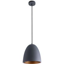Paco Home Pendelleuchte "JACK", grau, 1, &Oslash; 25cm H: 26cm, Leuchten, K&uuml;chenlampe H&auml;ngelampe Esszimmer Esstischlampe Innen Gold Wei&szlig;, Pendelleuchte