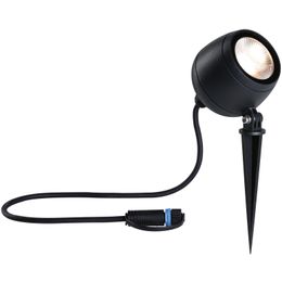 LED Gartenleuchte Paulmann "Outdoor Plug & Shine Spot Kikolo 60 3000K anthrazit", grau (anthrazit), H:26,1cm T:8,5cm &Oslash;:9cm, Leuchten, LED Gartenleuchte, Outdoor Plug & Shine Spot Kikolo 60 3000K anthrazit