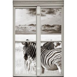 Wandsticker queence "Zebras", grau, B:40cm H:60cm T:0,1cm, Wandtattoos, Wandsticker, Wandsticker, Wandbild, selbstklebend, 3D, Fenster