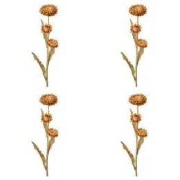 Kunstblume Creativ green "Strohblume", braun (cognac), H:61cm, Obermaterial: 95% Polyethylen, 5% Polyester, Kunstpflanzen