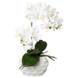 Kunstorchidee Creativ green "Deko-Orchidee Phalaenopsis im Keramiktopf", wei&szlig;, B:17cm H:33cm T:13cm, Obermaterial: 95% Polyethylen, 5% Polyester, Kunstpflanzen