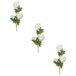Kunstblume Creativ green "Schneeballzweig", beige (creme), H:61cm, Obermaterial: 80% Polyester, 20% Polyethylen, Kunstpflanzen