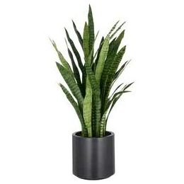Kunstpflanze Creativ green "Sansevieria zeylanica", gr&uuml;n, H:105cm, Kunststoff, Kunstpflanzen, Kunstpflanze, im eleganten Topf