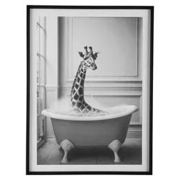 Bild mit Rahmen CREATIV HOME "Leinwandbild Giraffe in Badewanne", bunt (farbe rahmen: schwarz, farbe bild(er): bunt), B:30cm H:40cm T:1,8cm, Canvas, Kunststoff, Bilder, mit Rahmen