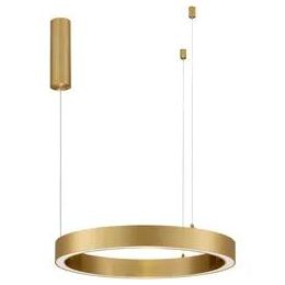 NOVA LUCE LED-H&auml;ngeleuchte "STING", gold, 1, &Oslash; 60cm, 1 Stk., Leuchten, Mit Leuchtmittel; H&ouml;henverstellbar