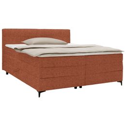 Boxspringbett Bari Terracotta ca. 200x200cm