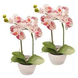 Kunstorchidee Creativ green "Orchidee Phalaenopsis", wei&szlig;, lila gesprenkelt, H:33cm &Oslash;:17cm, Kunststoff, Kunstpflanzen, im Design-Topf