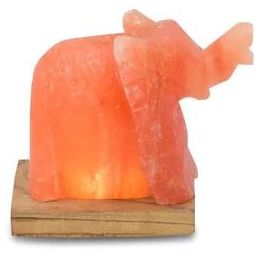 WAGNER LIFE DESIGN Salzkristall-Tischlampe "Elefant", orange, &Oslash; 7cm H: 11cm, 1 Stk., Leuchten, Handgefertigt aus Salzkristall - jeder Stein ein Unikat, H: ca.11 cm