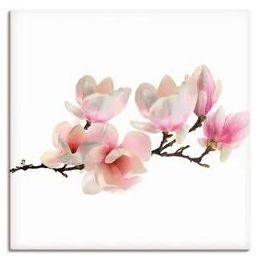 Leinwandbild Artland "Magnolie", pink (farbe bild(er): pink), B:40cm H:40cm, Bilder, Leinwandbild, auf Holzrahmen gespannt