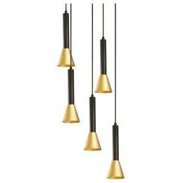 Searchlight H&auml;ngeleuchte "Signal 5Lt Multi-Drop Pendant - Black & Gold Metal", schwarz (schwarz und gold), 5, &Oslash; 37cm H: 28cm, 1 Stk., Leuchten, H&auml;ngeleuchte
