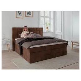 Boxbett OTTO HOME "PHILLIPA inkl. Bettkasten, wahlweise mit LED-Leuchten, Breite: 180cm", braun, B:195cm L:210cm, Holz teilmassiv, Holzwerkstoff, Spanplatte, Komplettbetten, inkl. Kaltschaum-Topper, in verschiedenen Farben erh&auml;ltlich