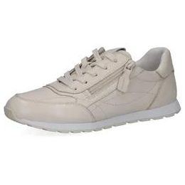 Sneaker Caprice, Herren, Gr. 40, beige, Nappaleder, Basic, Schuhe Sneaker, Freitzeitschuh, Schn&uuml;rschuh, Halbschuh in bequemer Weite