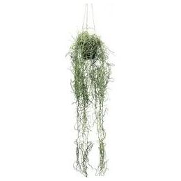 Kunstpflanze Creativ green "Tillandsia-H&auml;ngepflanze", gr&uuml;n, H:80cm, Kunstpflanzen, Kunstpflanze, mit filigranem Blattwerk
