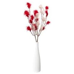 Tischvase CREATIV HOME "Vase mit Federzweigen", wei&szlig; (wei&szlig;, rot), H:27cm &Oslash;:7,5cm, Keramik, Vasen, f&uuml;r die moderne Einrichtung