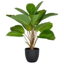 Kunstpflanze Creativ green "Philodendron", gr&uuml;n, H:45cm, Kunststoff, Kunstpflanzen, Kunstpflanze, mit naturgetreuem Blattwerk