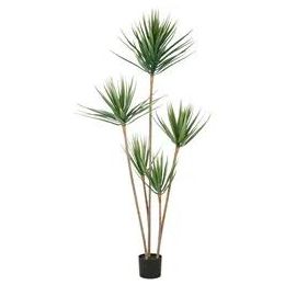 Kunstpflanze Creativ green "Dracaena draco", gr&uuml;n, H:165cm, Kunststoff, Kunstpflanzen, Kunstpflanze, mit 5 St&auml;mmen