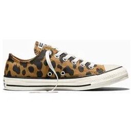 Sneaker Converse "CHUCK TAYLOR ALL STAR COW PRINT", Herren, Gr. 42,5, honey stick, schwarz, egret, Textil, Schuhe Sneaker