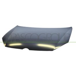 PRASCO Motorhaube vg0383110 f&uuml;r VW