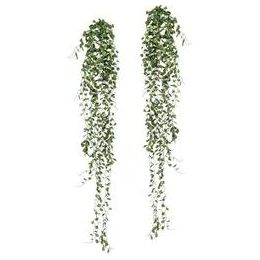Kunstranke Creativ green "M&uuml;hlenbeckia-H&auml;nger", gr&uuml;n, B:15cm H:80cm, Kunststoff, Kunstpflanzen, 2er Set