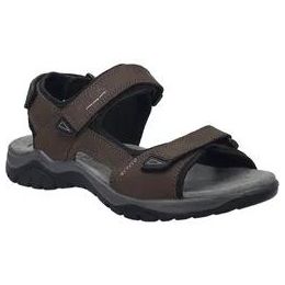 Sandale Josef Seibel "Arlo 02, braun", Herren, Gr. 44, braun, Obermaterial: 100% Rindsleder Leather cow., Schuhe Sandale