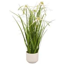 Kunstgras Creativ green "Grasbusch Sternsegge", gr&uuml;n, H:45cm &Oslash;:17cm, Kunststoff, Kunstpflanzen, mit Bl&uuml;ten