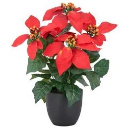 Kunstblume Creativ green "Weihnachtsstern", rot, H:23cm, Polyester, Kunstpflanzen, mit &uuml;ppiger Bl&uuml;tenpracht