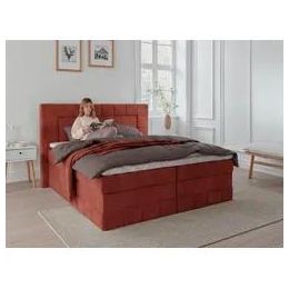 Boxbett OTTO HOME "PHILLIPA inkl. Bettkasten, wahlweise mit LED-Leuchten, Breite: 180cm", terracota, B:195cm L:210cm, Holz teilmassiv, Holzwerkstoff, Spanplatte, Komplettbetten, inkl. Kaltschaum-Topper, in verschiedenen Farben erh&auml;ltlich