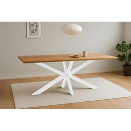 Esstisch Salvador / 200x100 / Spider-Gestell Wei&szlig;
