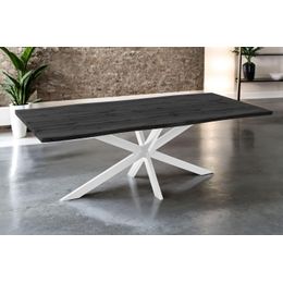 Esstisch JOSY 220 / graufarben / 220x100 / Spider-Gestell Wei&szlig;