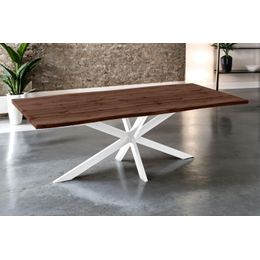 Esstisch JOSY 220 / nussbaumfarben / 220x100 / Spider-Gestell Wei&szlig;